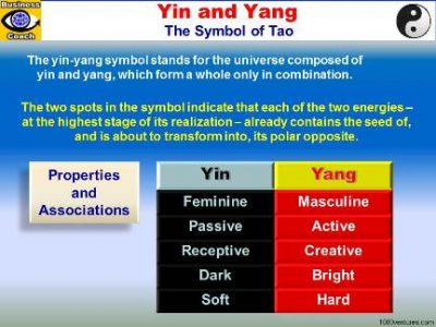 Finding balance in life with Yin & Yang forces